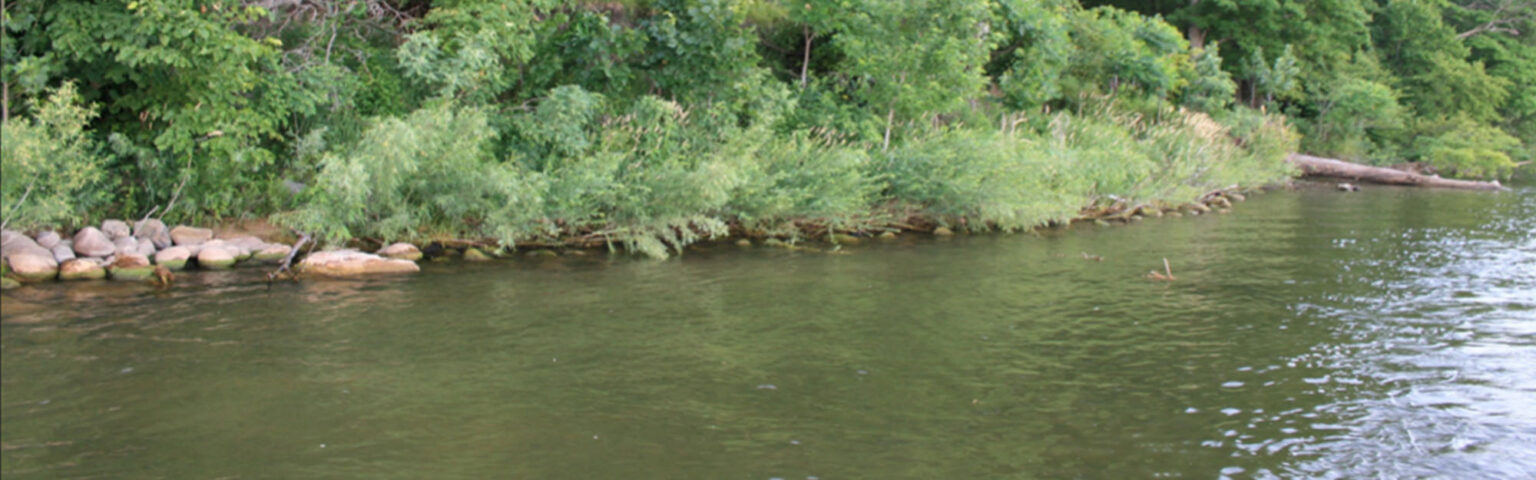 Search Projects - Minnehaha Creek Watershed District (MCWD)