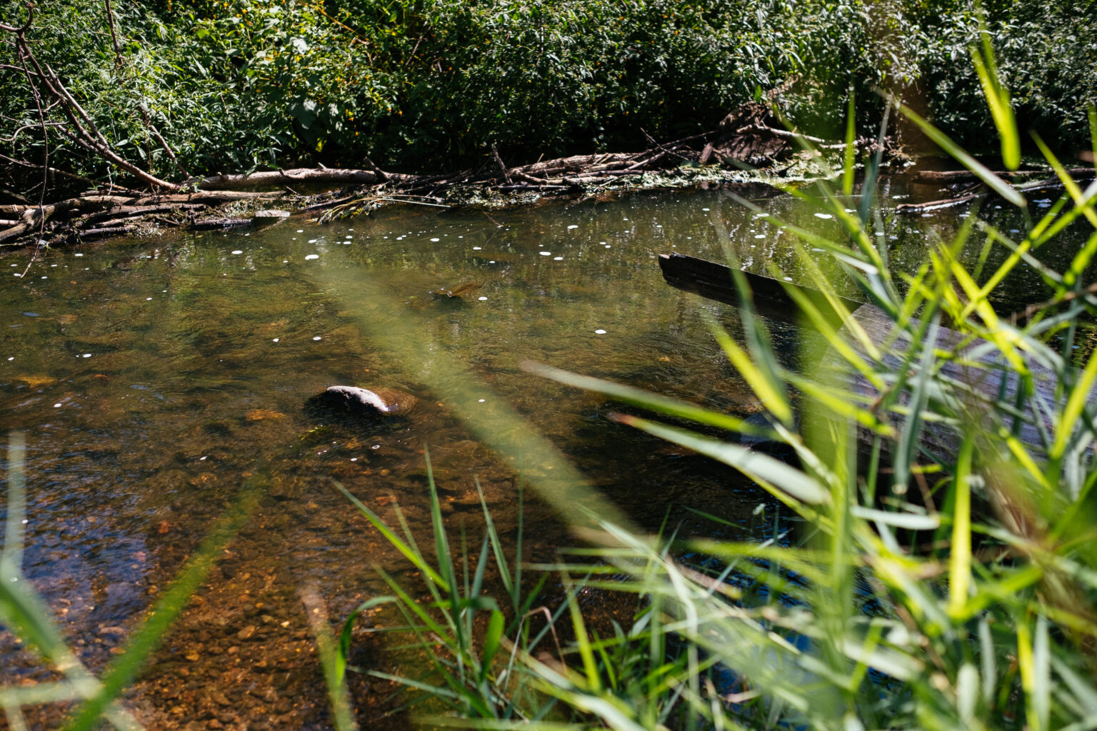 Minnehaha Parkway Stormwater Management - Minnehaha Creek Watershed ...
