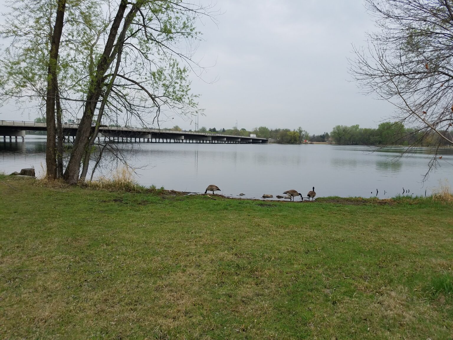 Lake Nokomis Water Quality Improvement Project - Minnehaha Creek ...