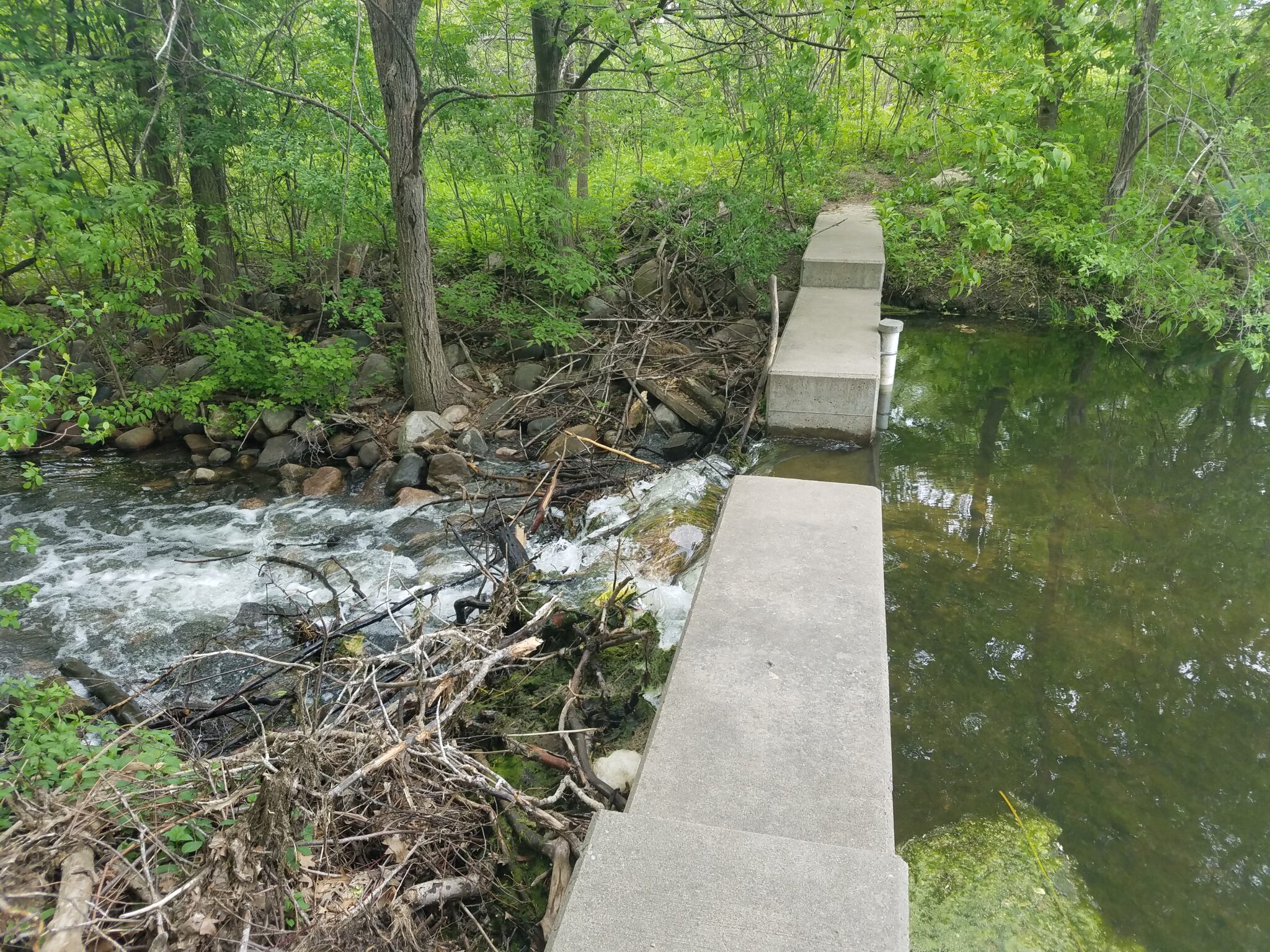 Search Projects - Minnehaha Creek Watershed District (MCWD)