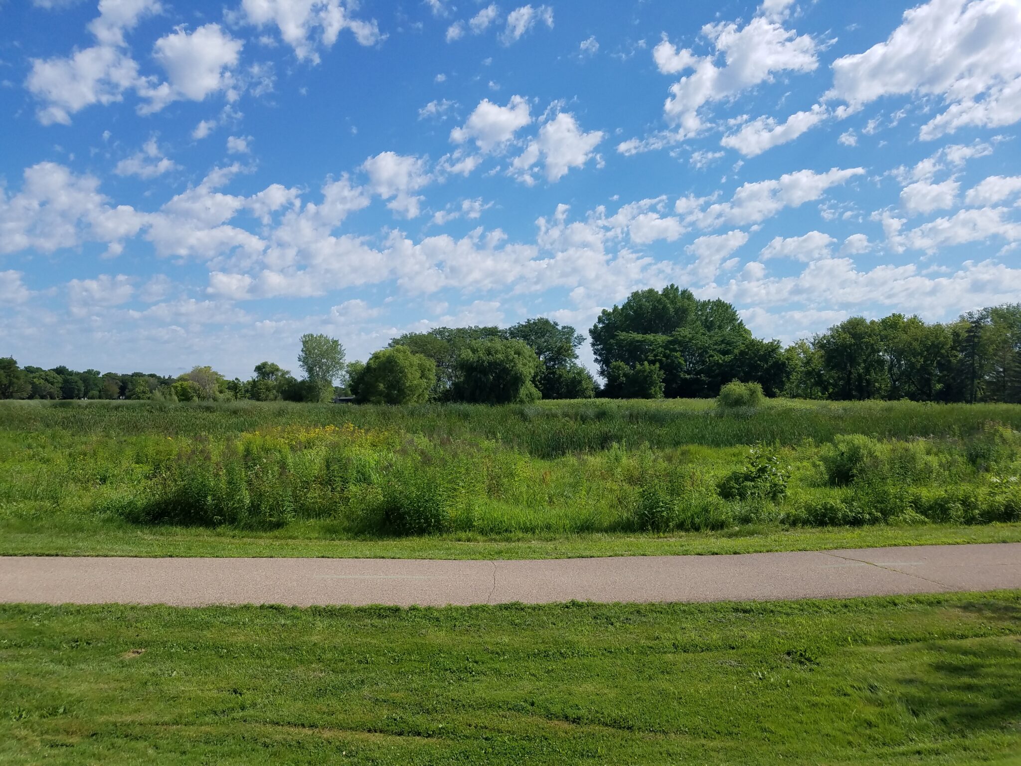 Lake Nokomis Water Quality Improvement Project - Minnehaha Creek ...