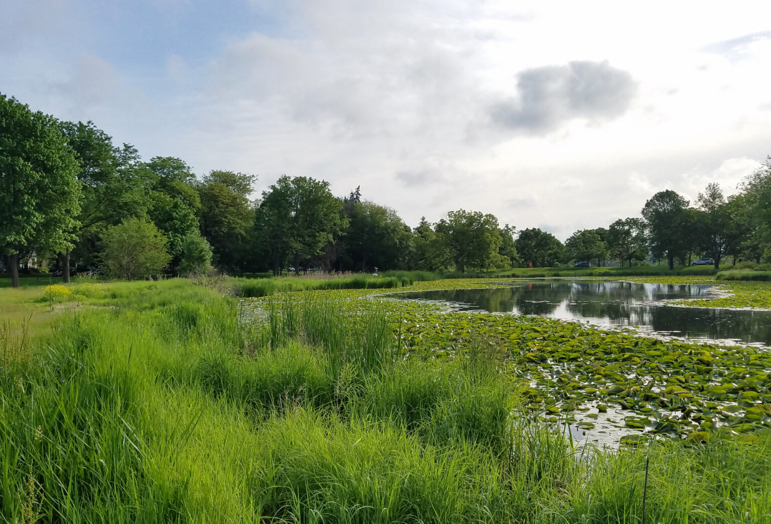 Lake Nokomis Water Quality Improvement Project - Minnehaha Creek ...